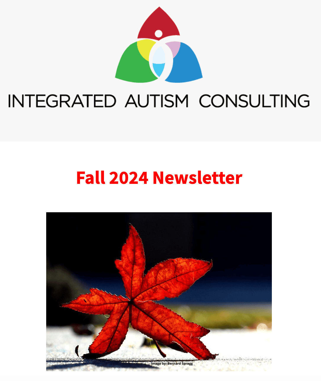 IAC Fall 2024 Newsletter - Integrated Autism Consulting